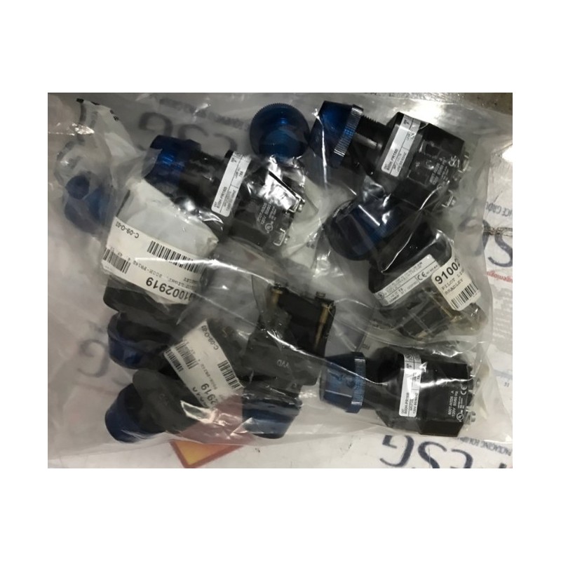 Allen-Bradley 800H-PR16B Series F 30 mm Red Pilot Light